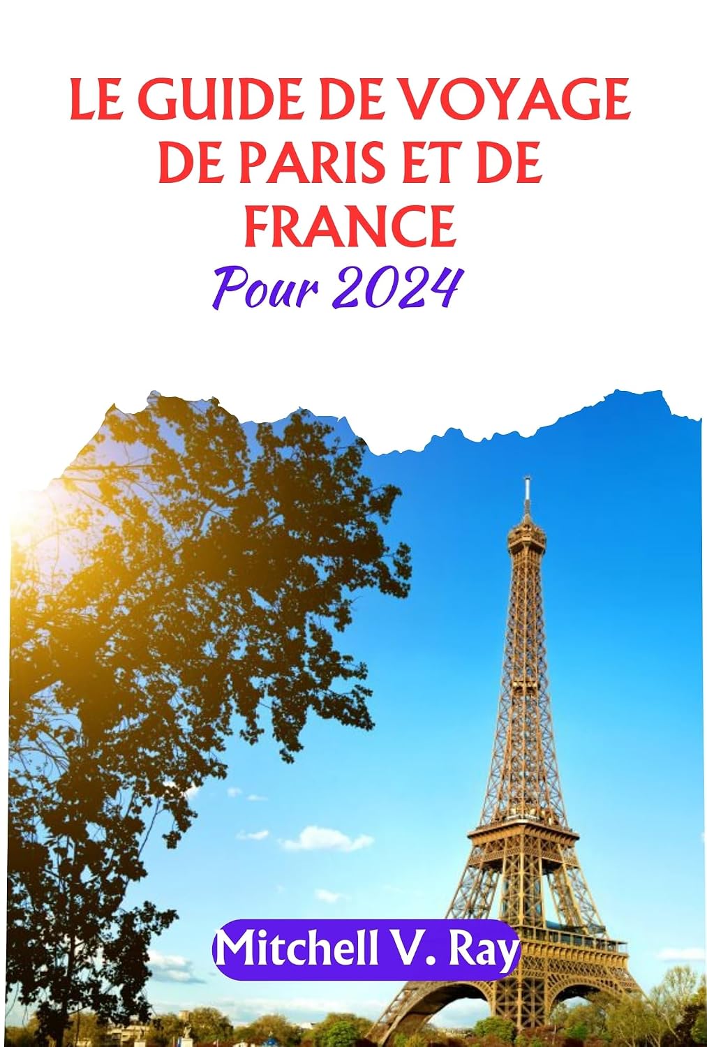 Amazon | LE GUIDE DE VOYAGE DE PARIS ET DE FRANCE POUR 2024: Le guide ...