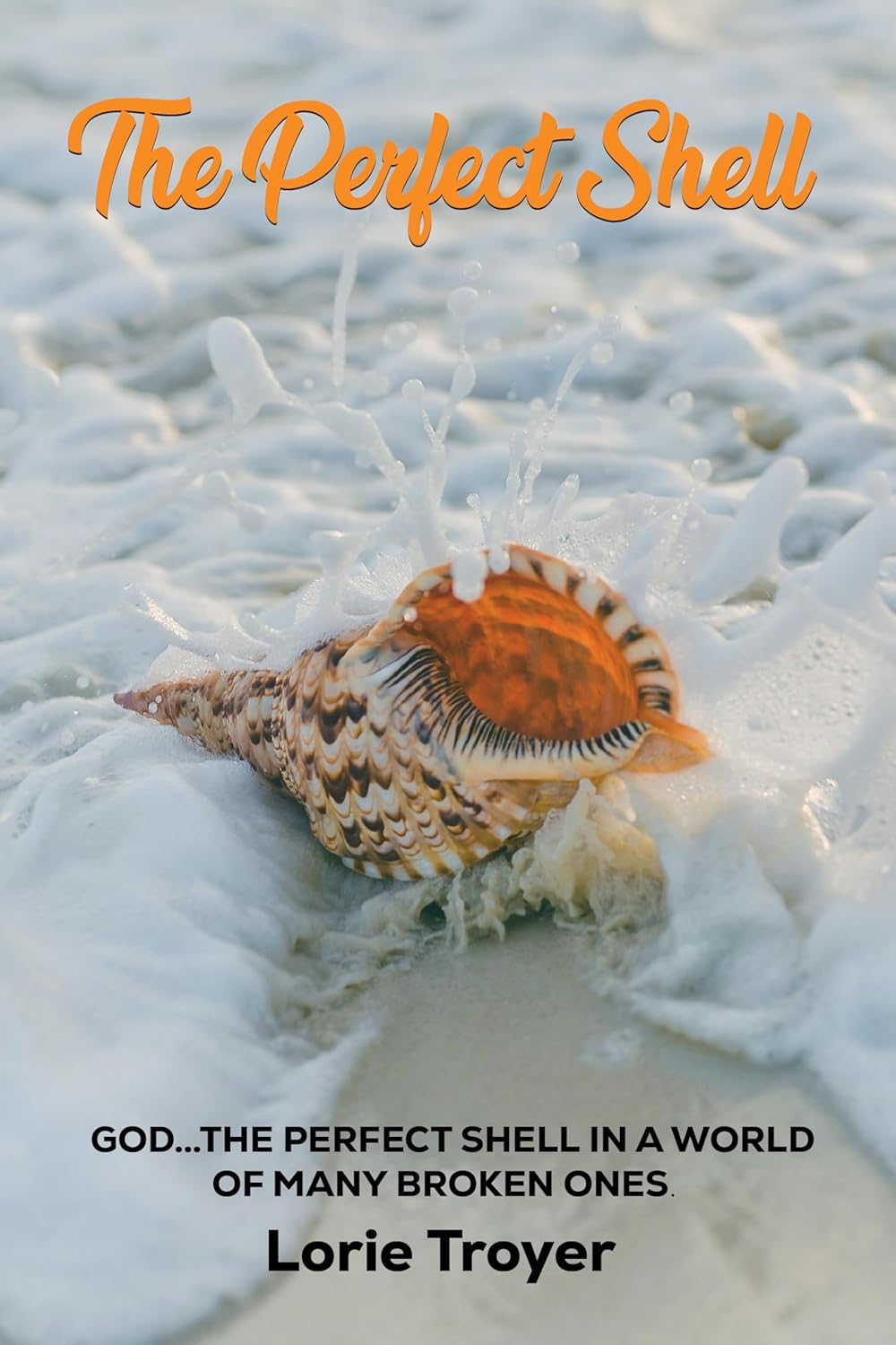 The Perfect Shell: A collection of thoughts about God and the faithful ...