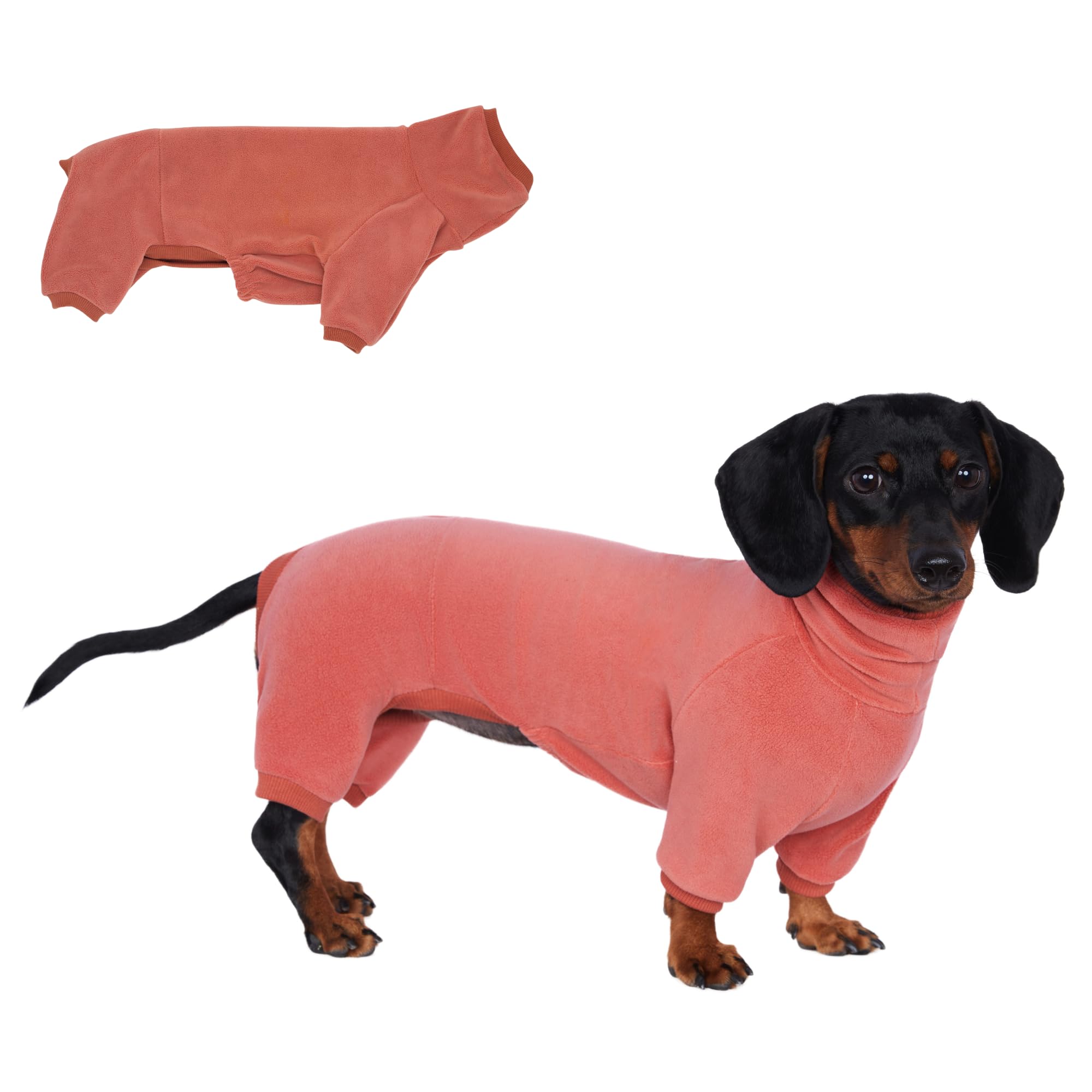 Amazon.com : WhaleMire Dachshund Dog Turtleneck Warm Sweater, Winter ...