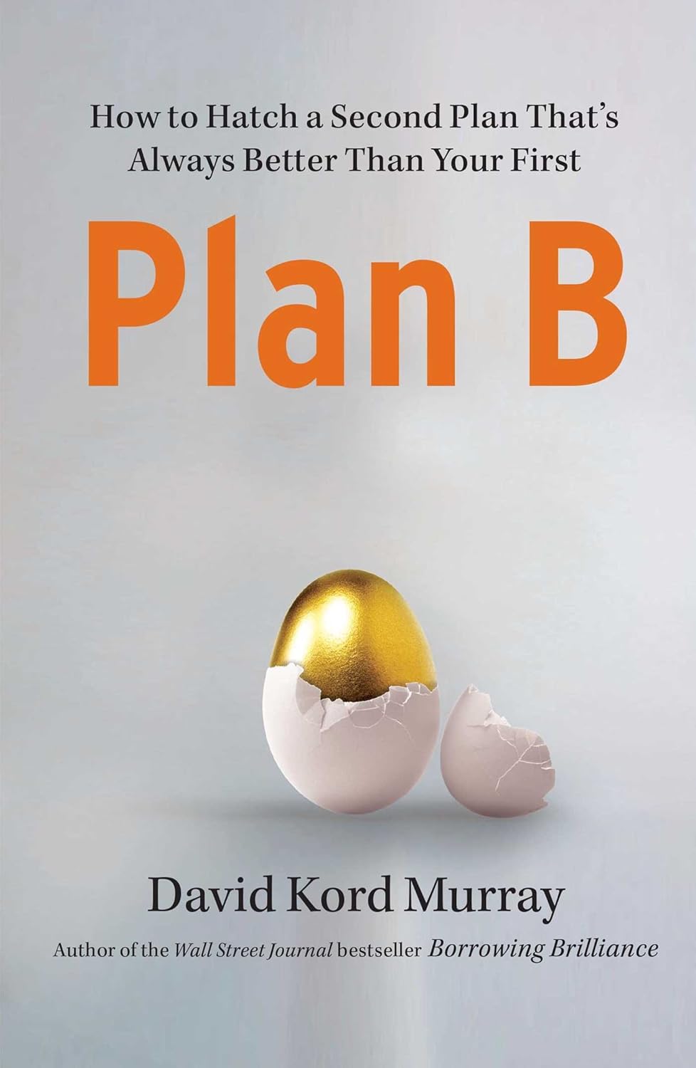 Amazon.com: Plan B: How to Hatch a Second Plan That's Always Better ...