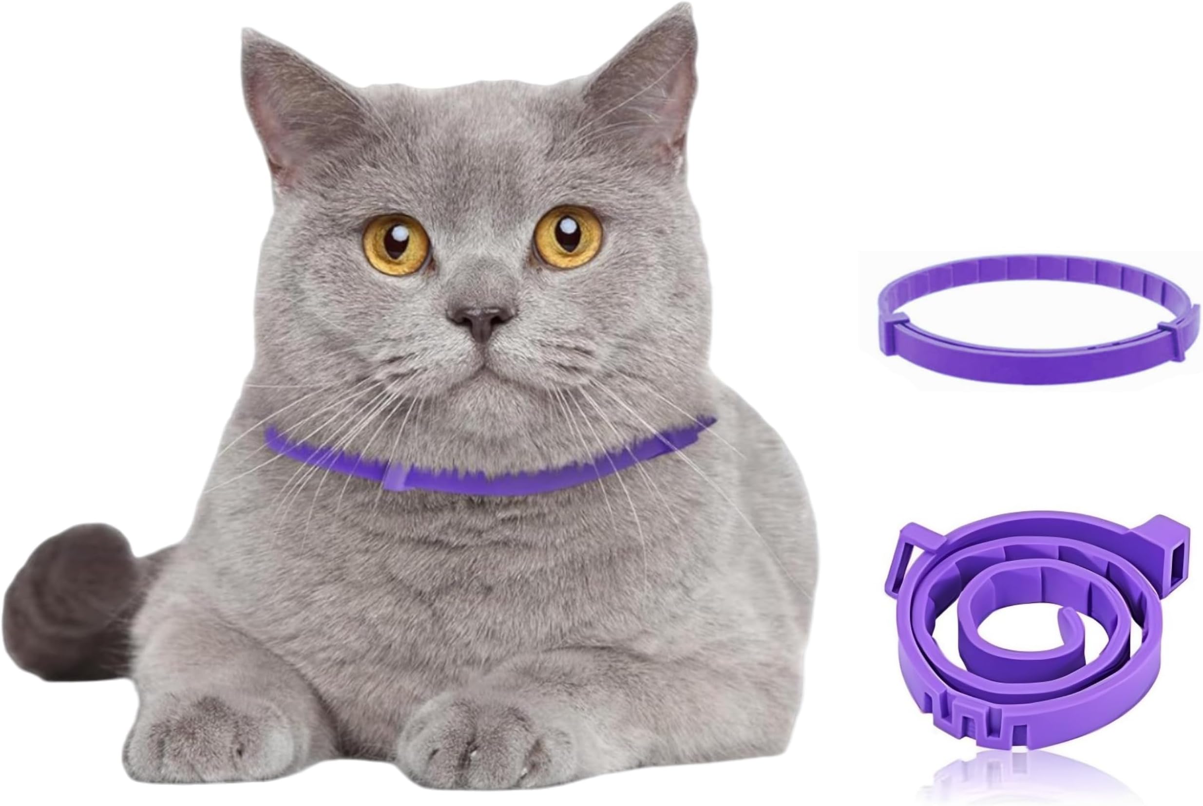 Amazon.com : Calming Collar for Cats | 60 Days of Effective Stress and ...
