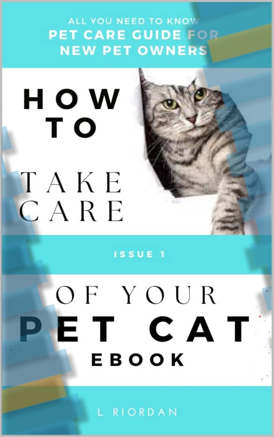 Pet Cat Care: Looking after your pet cat eBook : Riordan, L: Amazon.co ...