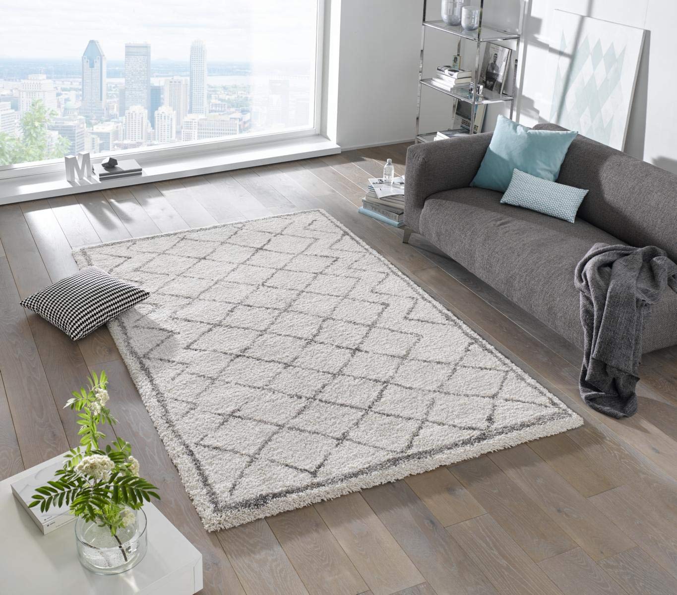 Area Rugs Loft