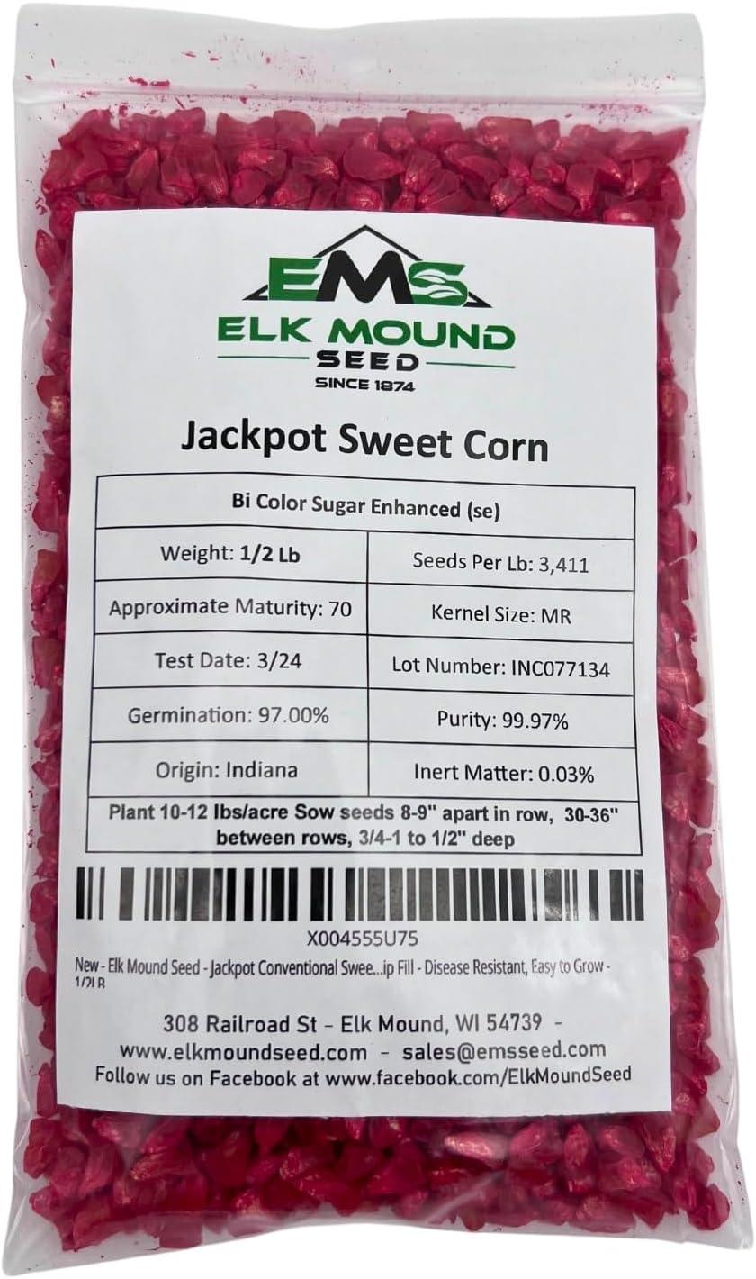 Amazon.com: Elk Mound Seed - Jackpot Conventional Sweet Corn Seeds ...