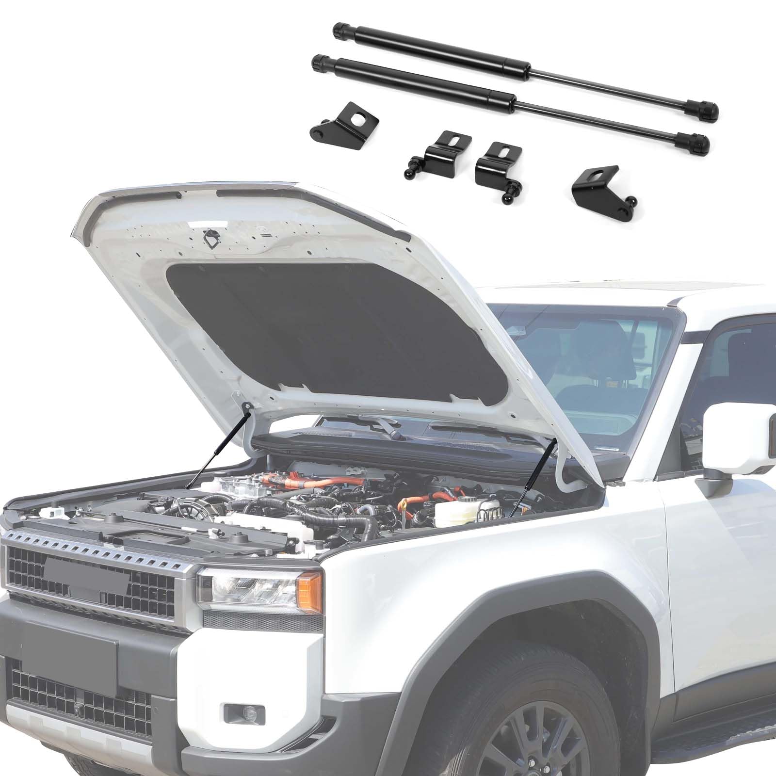 Amazon.com: Front Hood Lift Supports Shock Struts Replacement Fit for ...
