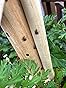 Amazon.com: Navaris Wooden Ladybug Habitat - Hanging Real Pinewood ...