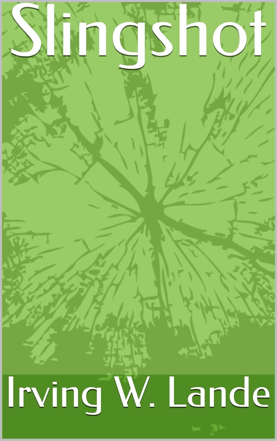 Slingshot: Modern English Version eBook : Lande, Irving W.: Amazon.in ...