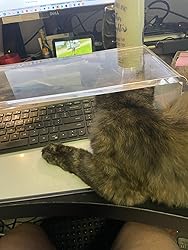 Amazon.com: Clear Acrylic Keyboard Cover Protector Anti-Cat,2 in 1 ...