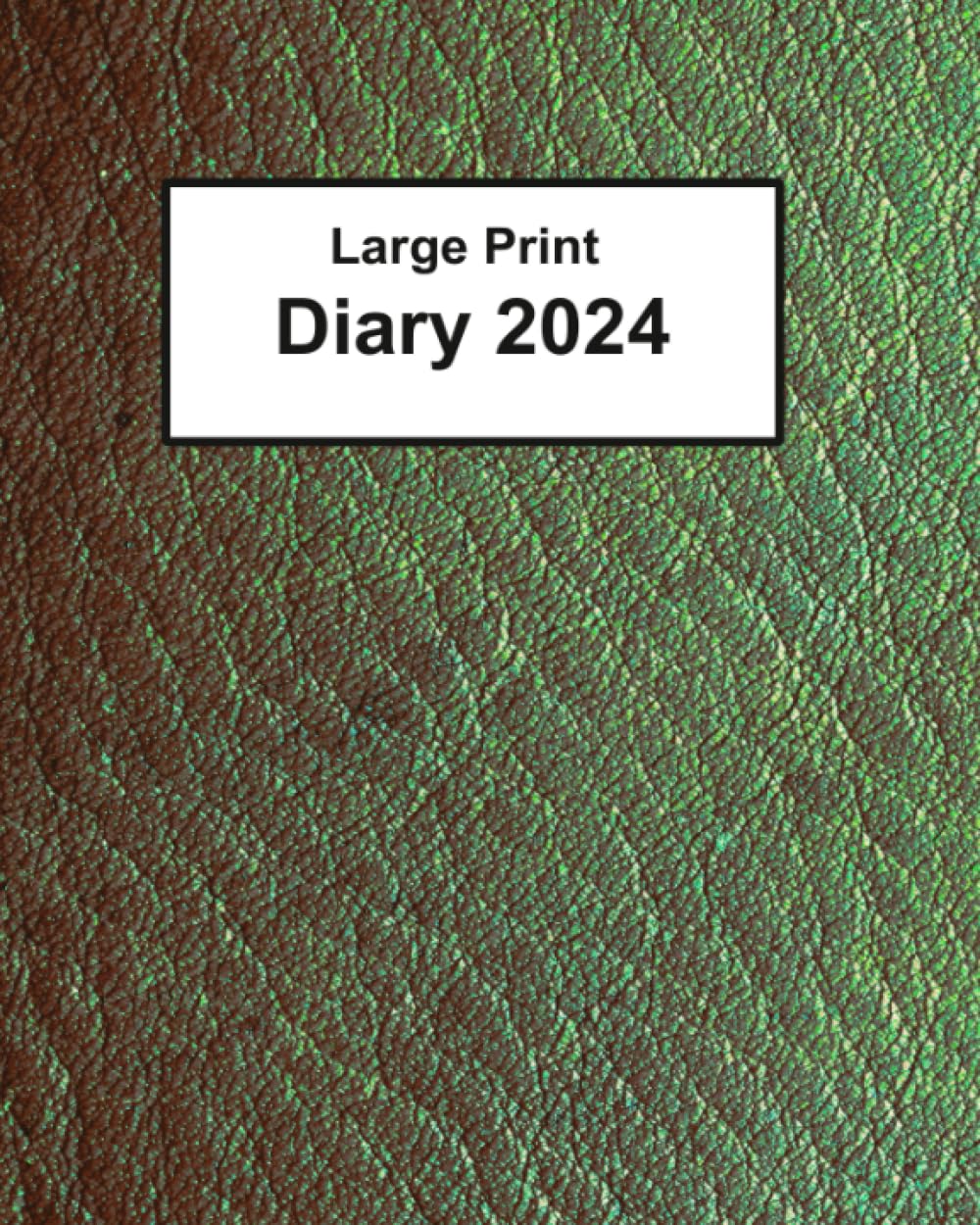 Large Print Diary 2024: ultra clear large type, week to a page ...