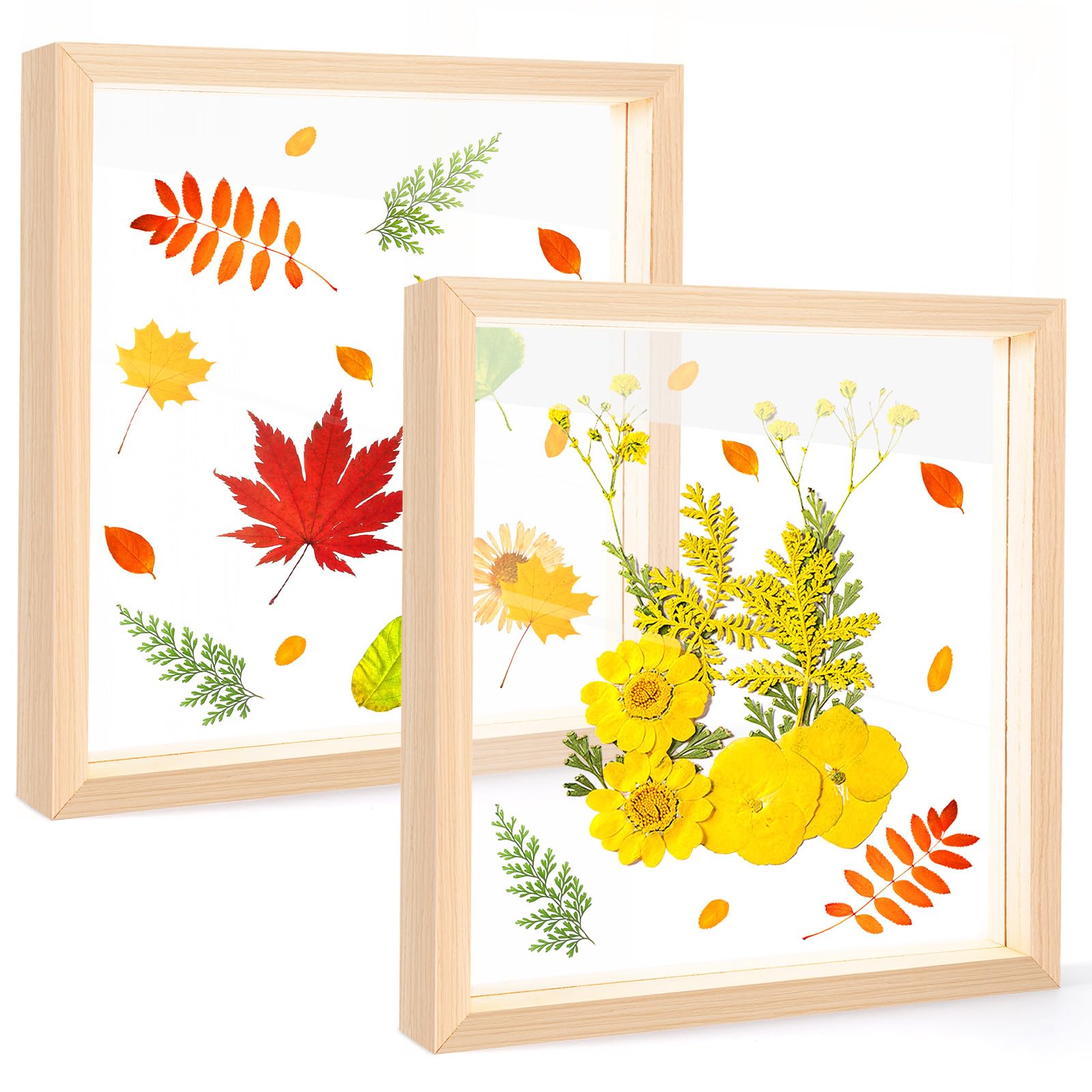 Amazon.com - Augshy 2 Pack Pressed Flowers Frames, 8 x 8 Floating ...