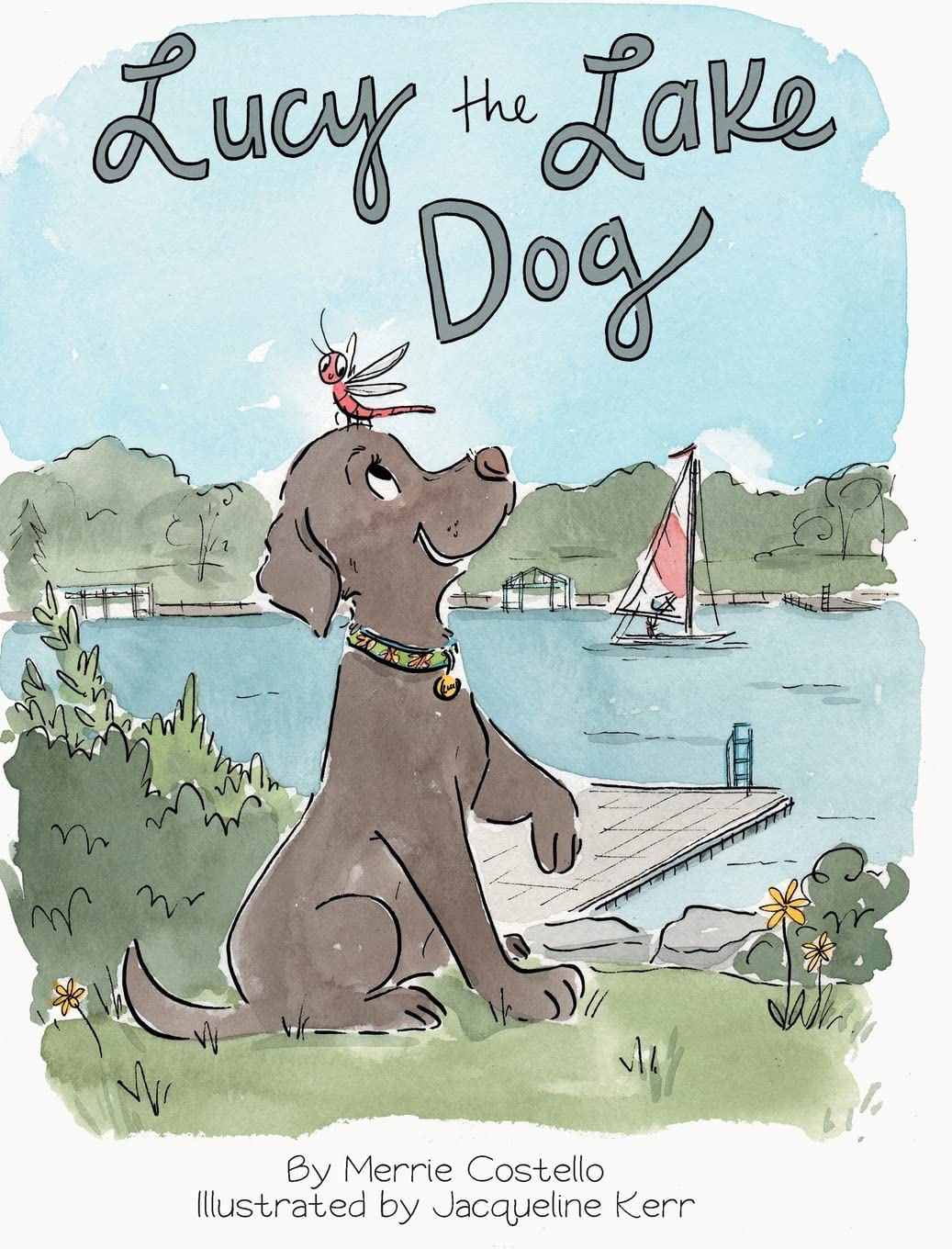 Lucy the Lake Dog: Costello, Merrie: 9781638600831: Amazon.com: Books