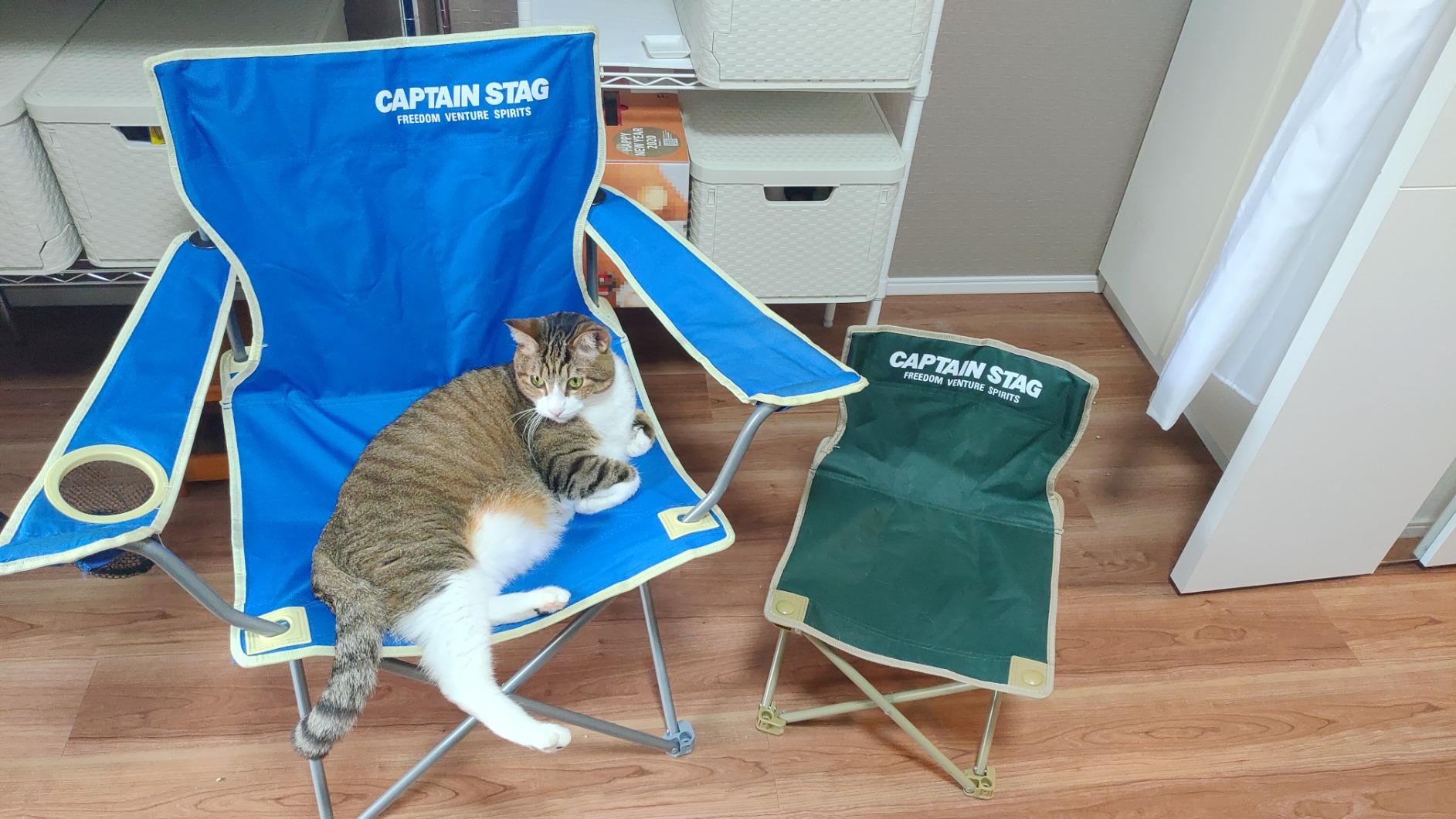 Amazon.co.jp: Captain Stagg (Captain Stag) Cs Compact Chair Mini Green ...