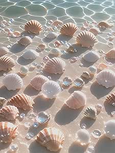 Amazon.com: UOAIUDT Seashell Diamond Paintings Kits for Adults,Beach ...