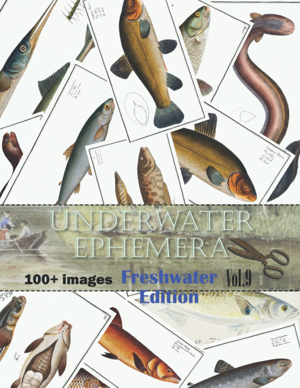 Buy Underwater Ephemera: Vol. 9 Freshwater Edition.Collection of River ...
