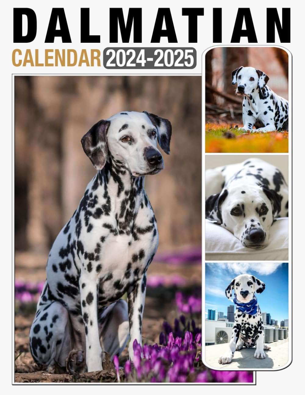 Dalmatian Calendar 2024-2025: A 24-Month Calendar for Jan 2024 to ...