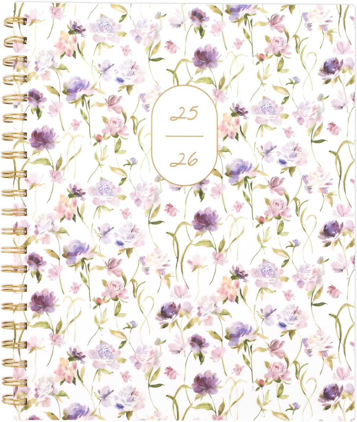 Daily Planner 2025-2026 Cambridge Academic Planner 2025-2026 - Weekly ...