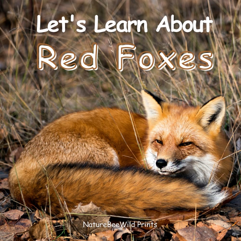 Let's Learn About Red Foxes (Let's Learn About Animals): Prints ...