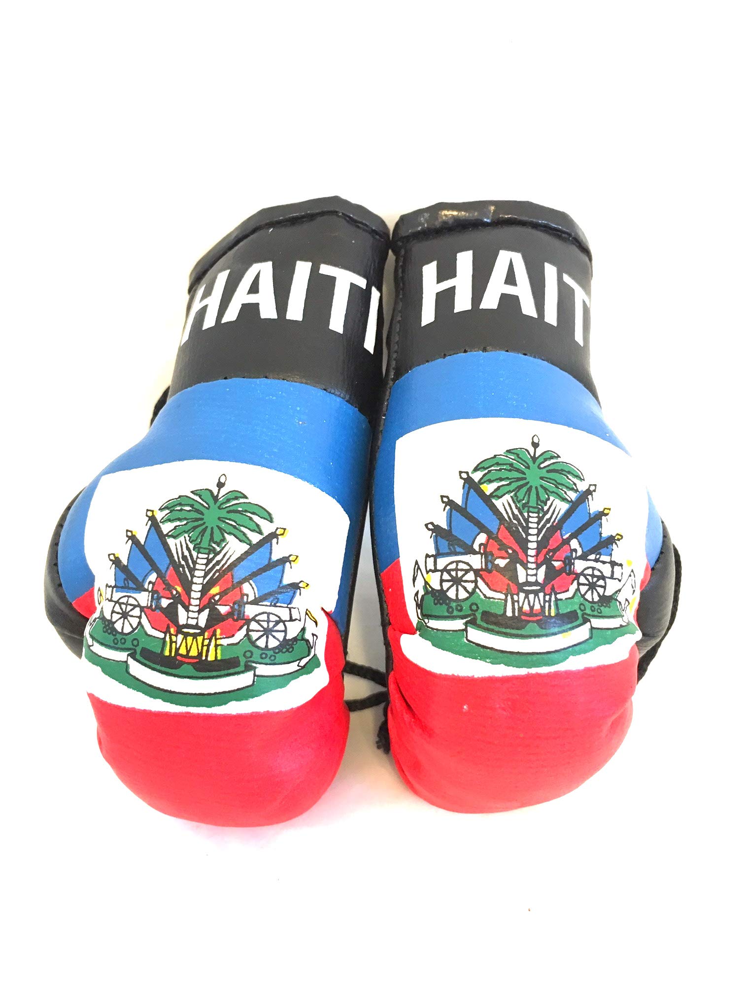 Haitian Boxing Haiti PM Touts New Police Chief In Fight Against