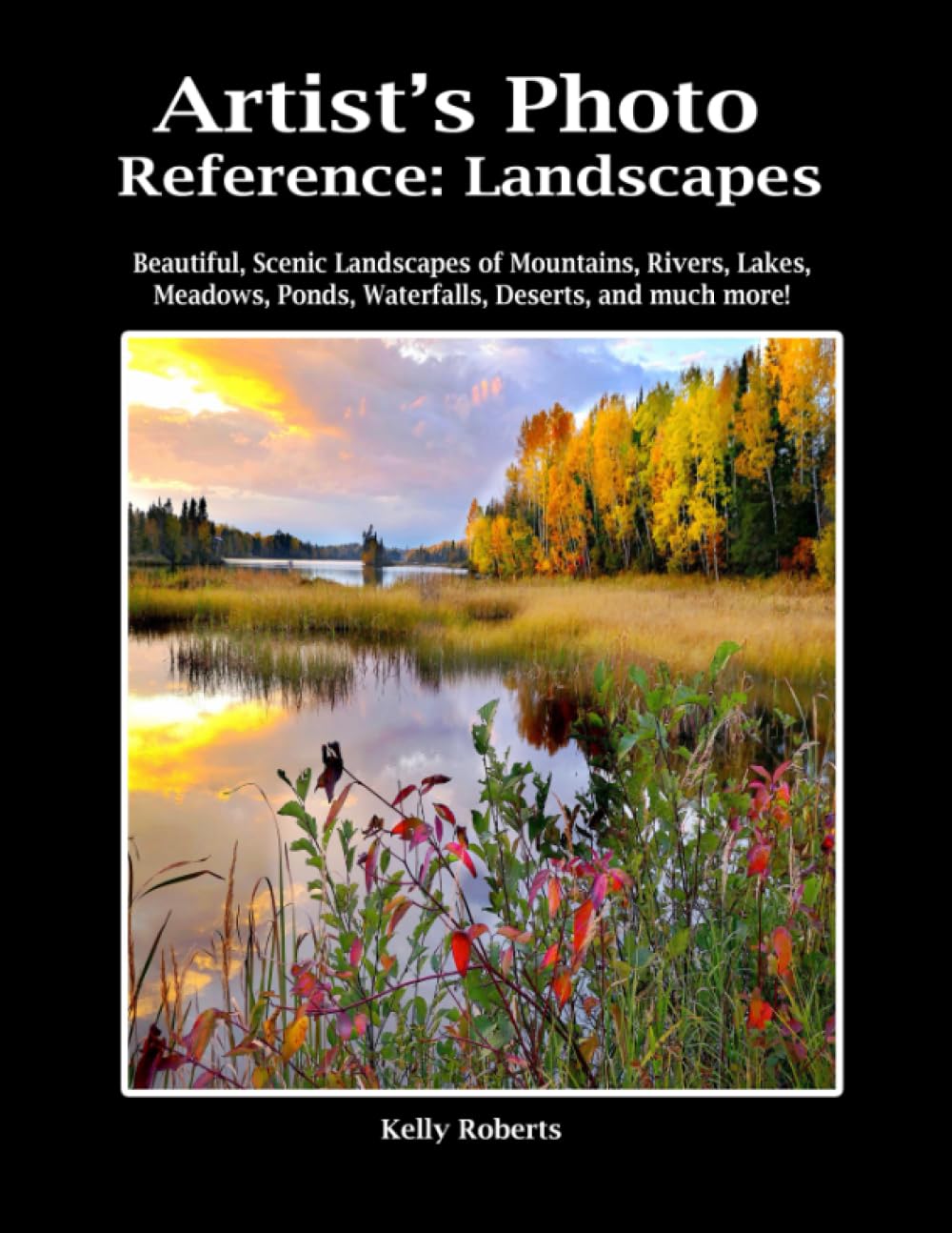 Artist's Photo Reference: Landscapes: Beautiful, Scenic Landscapes of ...