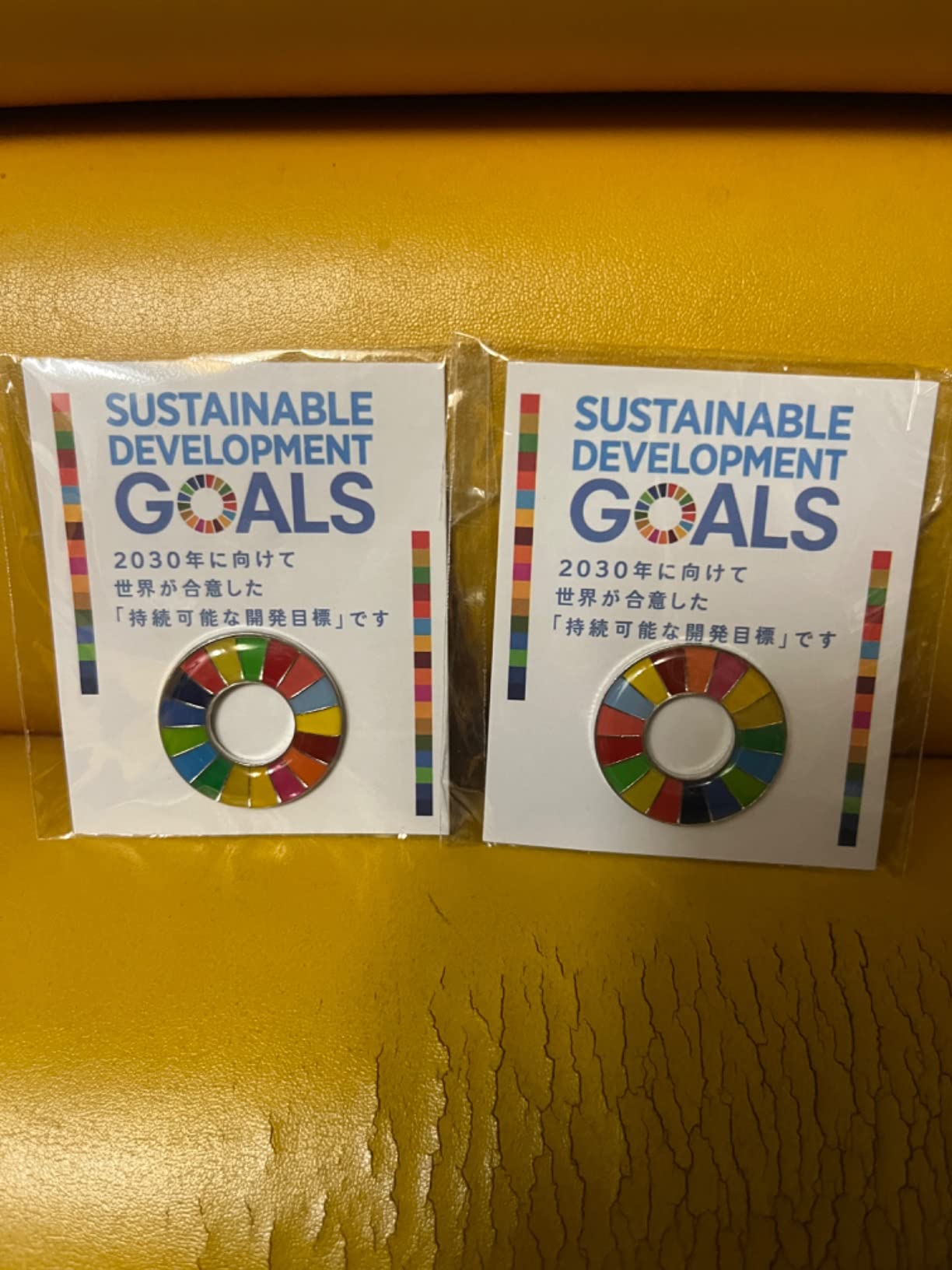 Amazon.co.jp: Aoouik sdgs バッジ マグネット 25mm 国連 sdgs バッチ sdgs ピンバッジ エスディージーズバッジ 2030持続可能な発展に向け （表面が ...