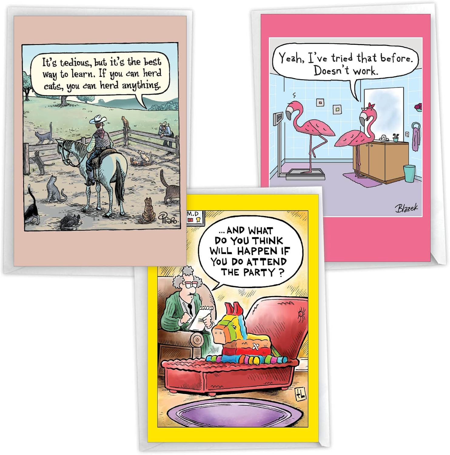 NobleWorks Assortment Pack of 3 Funny Birthday Greeting Cards with ...