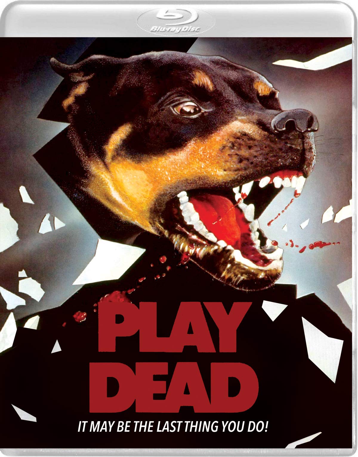 Amazon.com: Play Dead [Blu-ray/DVD Combo] : Yvonne De Carlo, Stephanie ...