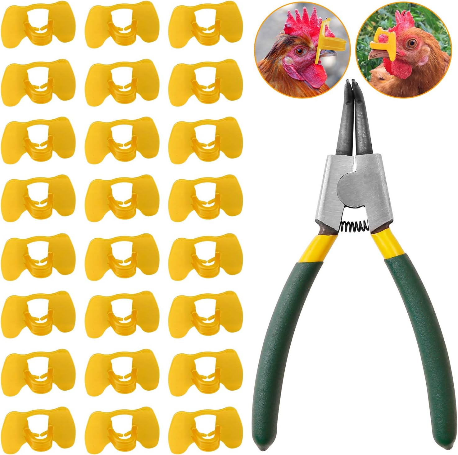 Amazon.com: Aufind 101 Pieces Pinless Peepers with Pliers Set Chicken ...