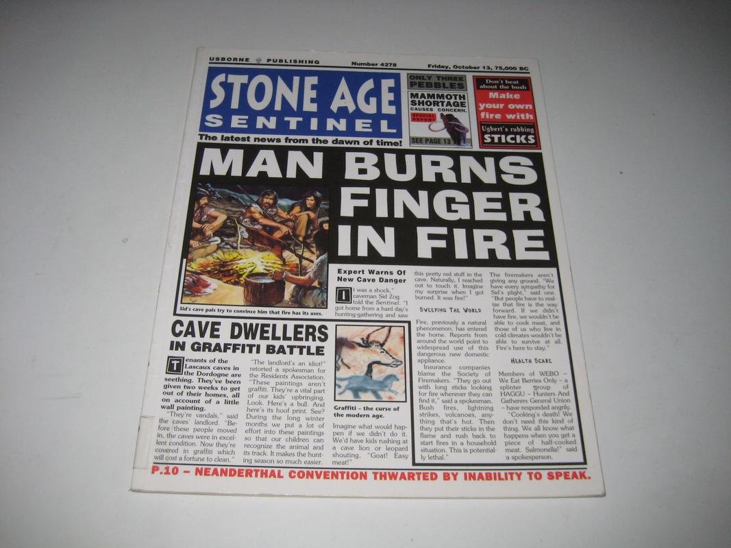 Stone Age Sentinel (Newspaper Histories Series): Fleming, Fergus ...