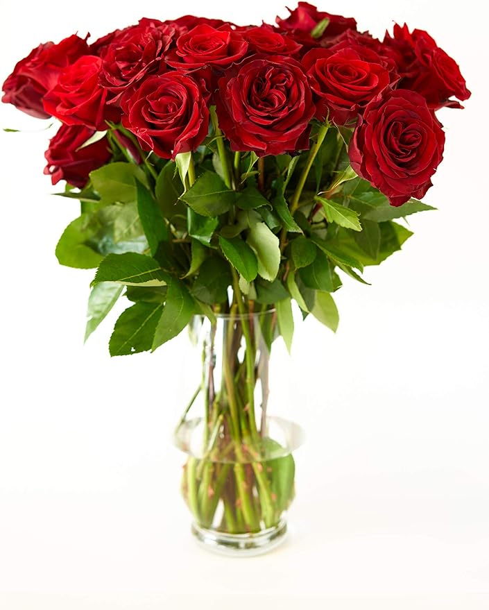 Amazon.com: Red Roses Flower Bouquet - 24 Red Roses Long Stem - 2 Dozen ...
