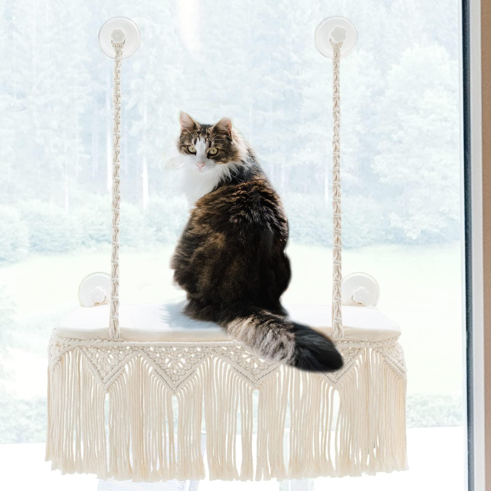 Amazon.com : Cat Window Perch,Cat Hammock Wooden,Foldable Cat Window ...