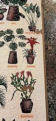 Amazon.com: Vintage Houseplant Puzzle 1000 Pieces for Adult, Botany ...
