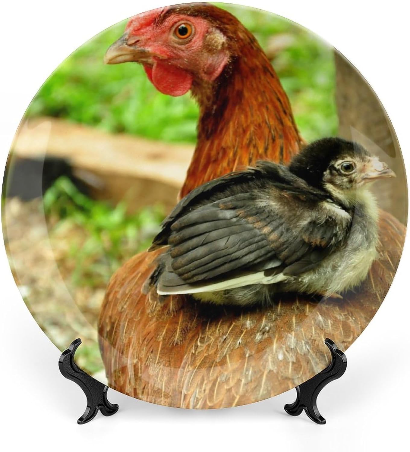 Amazon.com: 8" Decorative Porcelain Plate Hen and Chick Ceramic ...