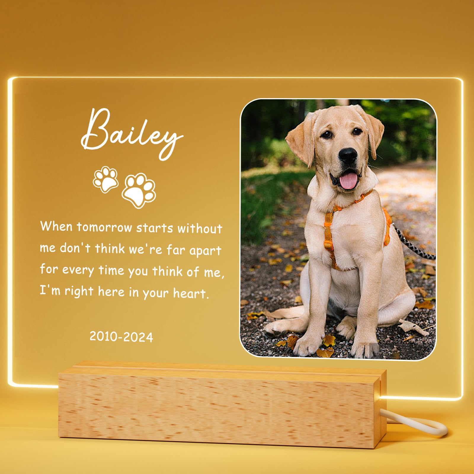 Bemaystar Personalized Pet Memorial Gifts - in Memory of Dog Night ...