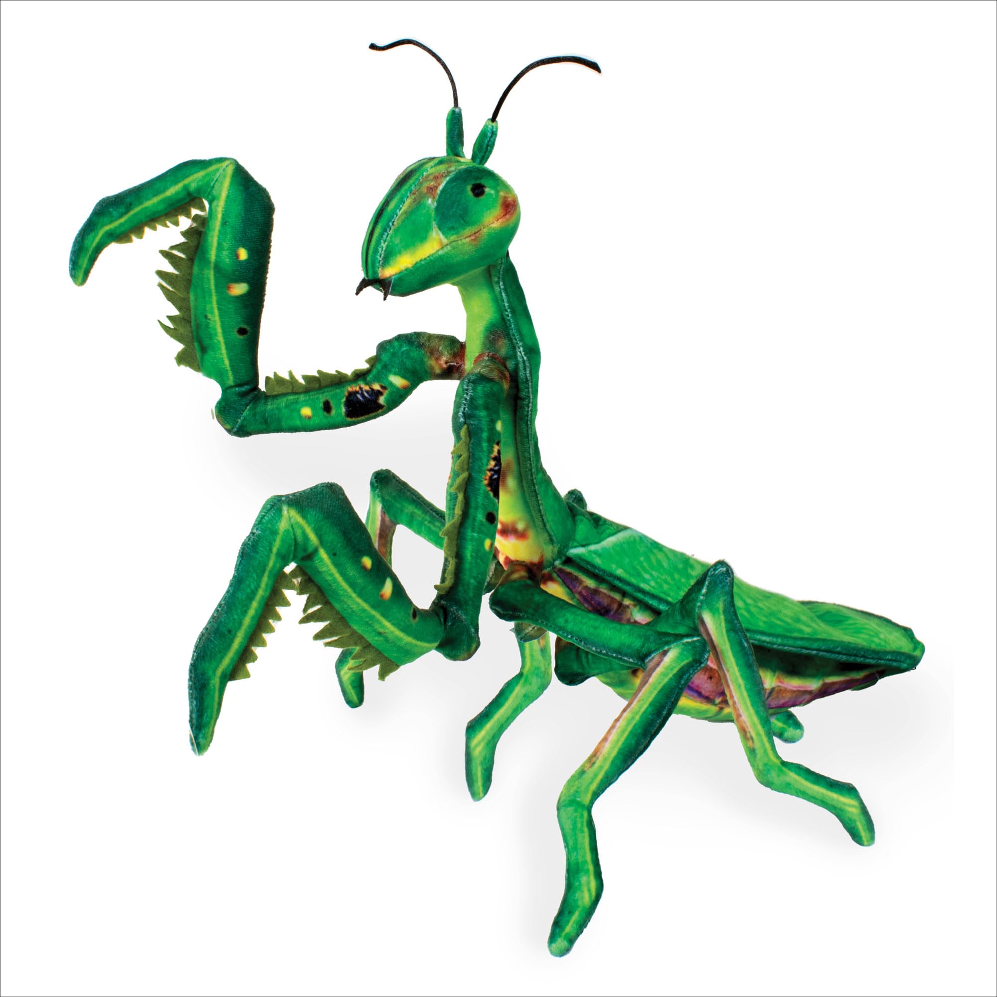 Hot Wheels Rc Car Realistic Dead Leaf Mantis Stuffed Animal - Lifelike ...