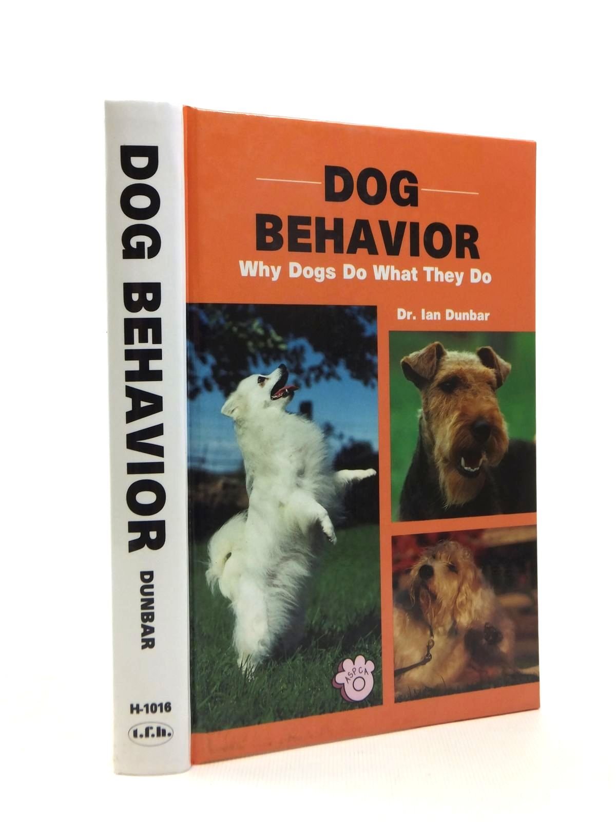 Do Dogs Learn Behavior From Other Dogs