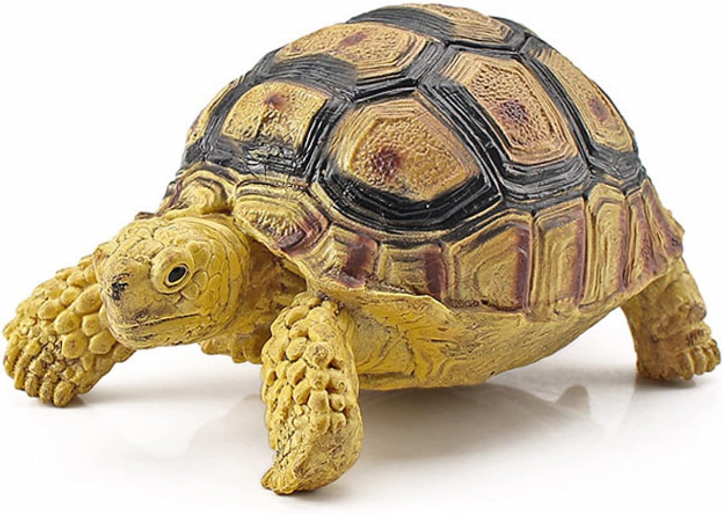 Amazon.com: AWXZOM Sulcata Tortoise Statue - Stigmochelys pardalis ...