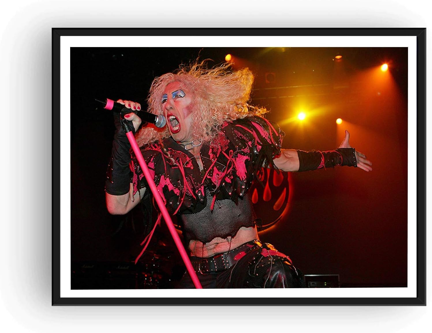 Amazon.com: Dee Snider Poster 13x19" Twisted Sister: Home & Kitchen