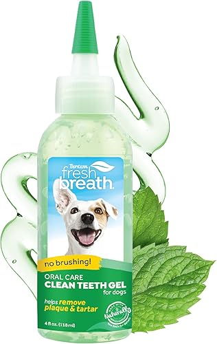 Best Dog Plaque Removers - Dog Dental Care Products