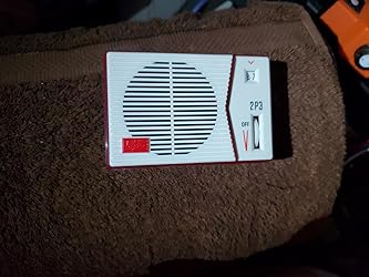 Amazon.com: Tecsun 2P3 AM Radio Receiver Kit - DIY for Enthusiasts, Built it into a Radio case ...