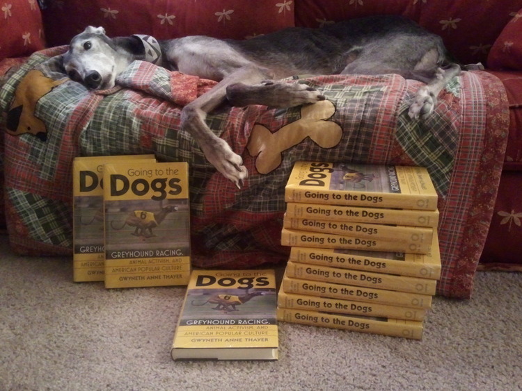 Amazon.com: Gwyneth Anne Thayer: books, biography, latest update