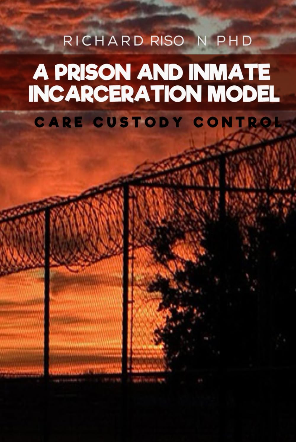 A PRISON AND INMATE INCARCERATION MODEL: Care Custody Control: Rison ...