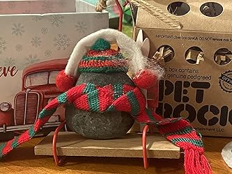 Amazon.com: Pet Rock - The Original by Gary Dahl : Pet Supplies