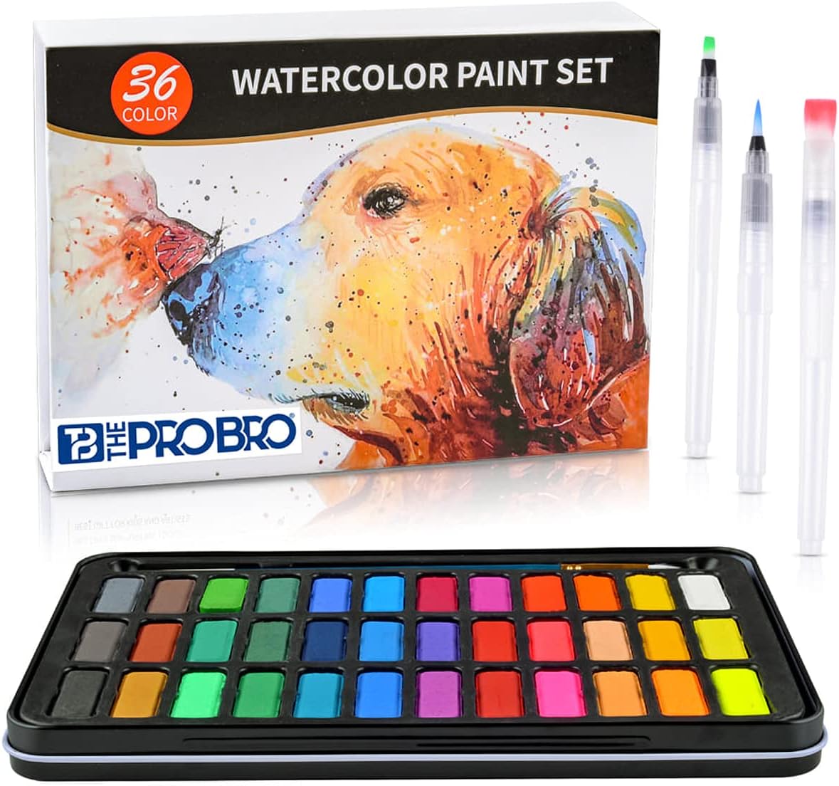THE PRO BRO Watercolor Paint Set, 36 Premium Colors in Gift Box with ...