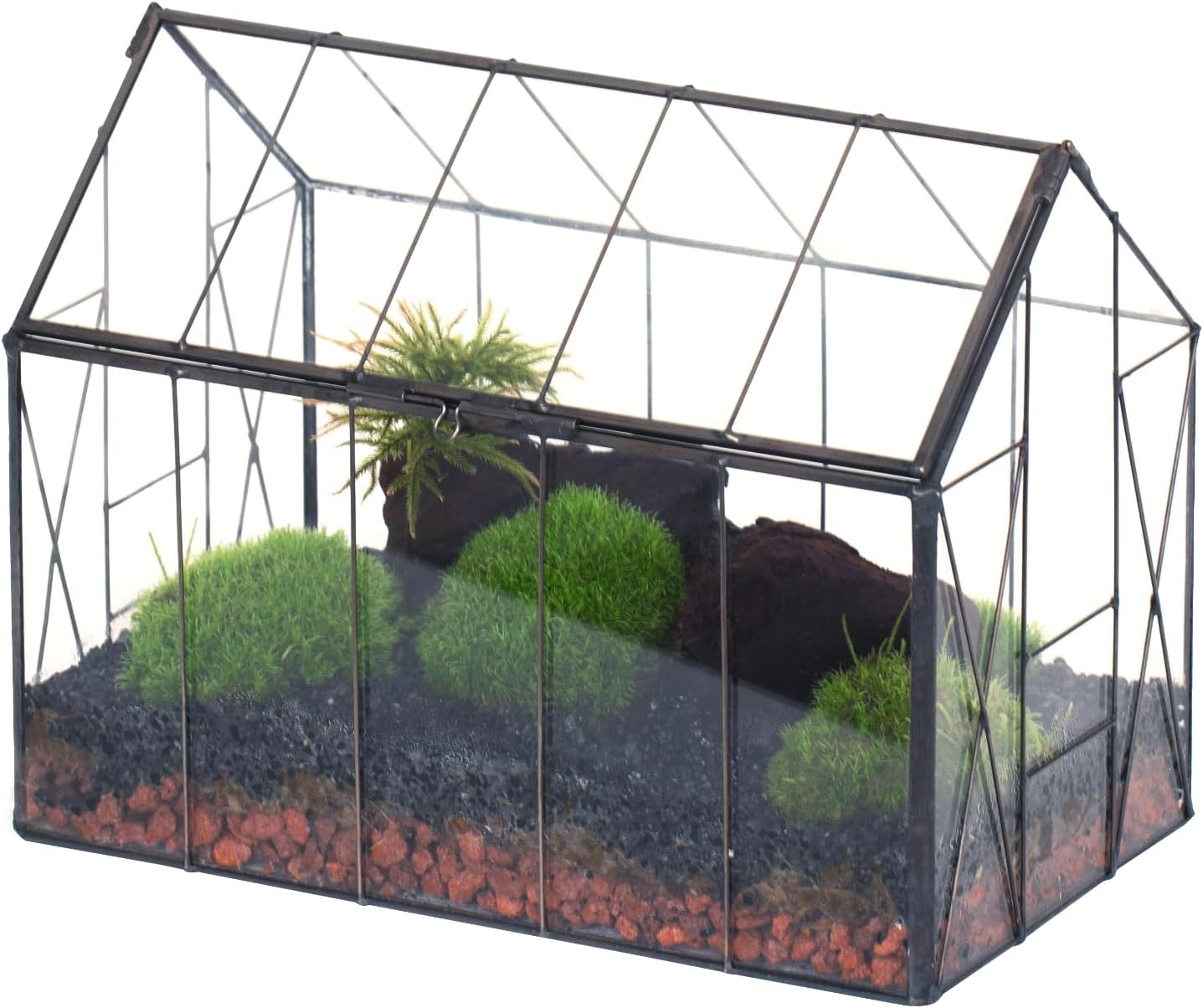 Amazon.com: Kalalou Set of Wood and Glass Terrariums, One Size, Brown ...