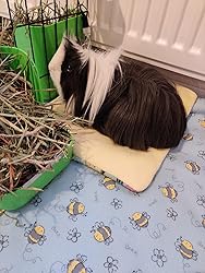 Candure Hairdressing Cutting Scissors Barber and Thinning Salon Shears ...