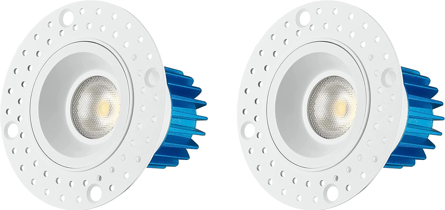 Rayhil 2.5 Inch TRIMLESS LED Downlight with Junction Box, Dimmable ...