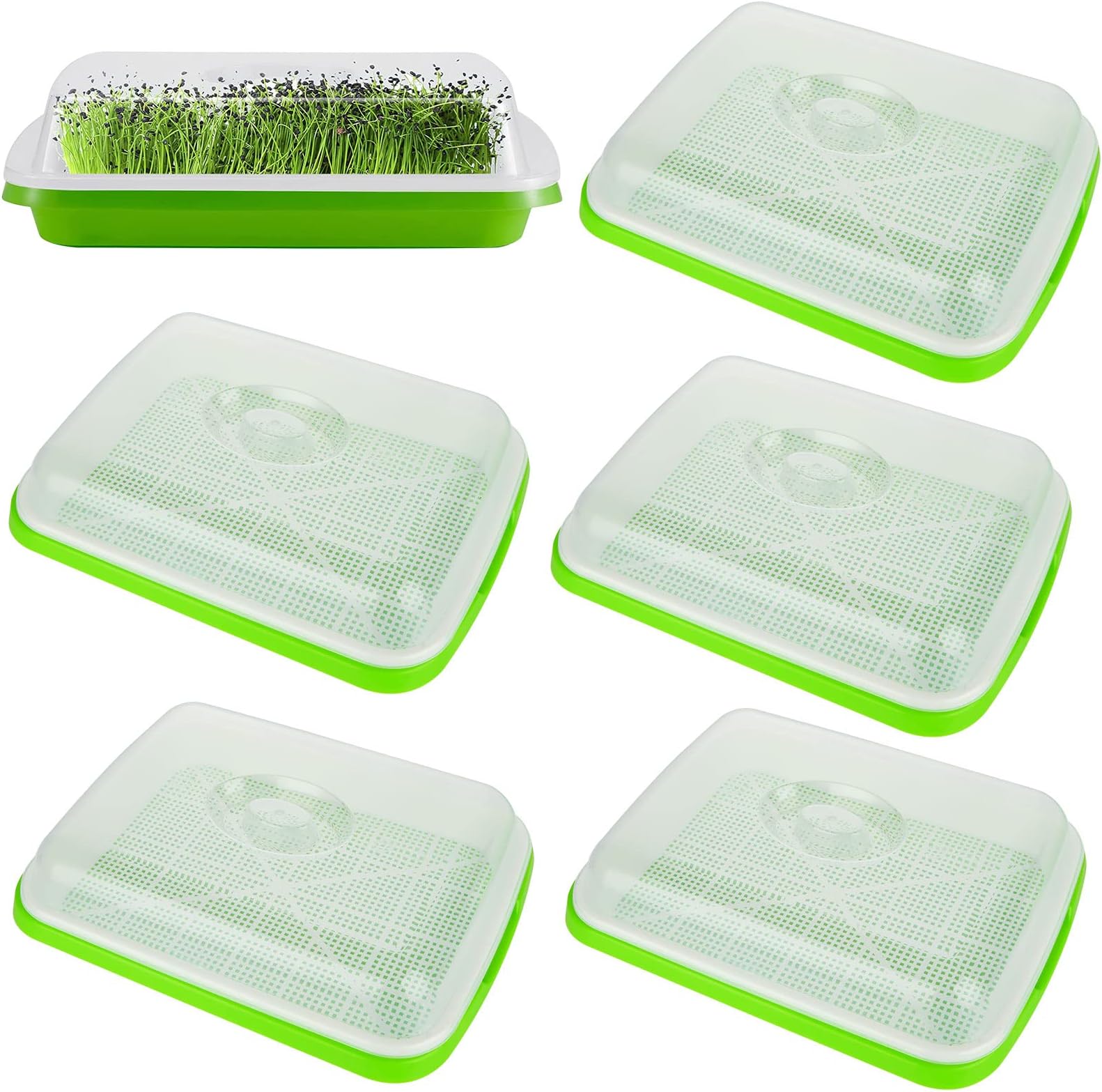 Amazon.com : Voittozege 10 Pack Seed Sprouter Tray Microgreens Growing ...