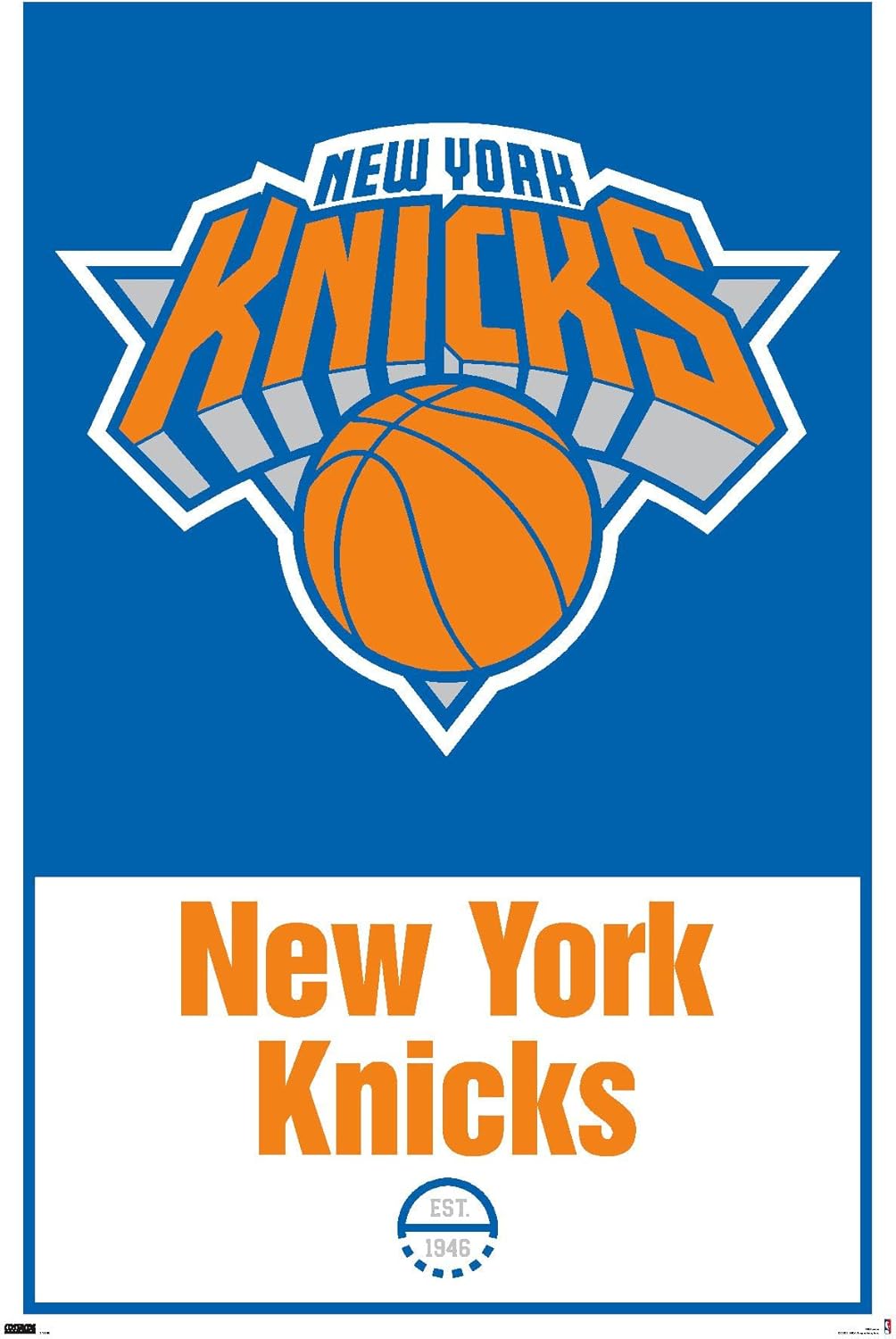 Amazon.com: Trends International NBA New York Knicks - Logo 21 Wall ...