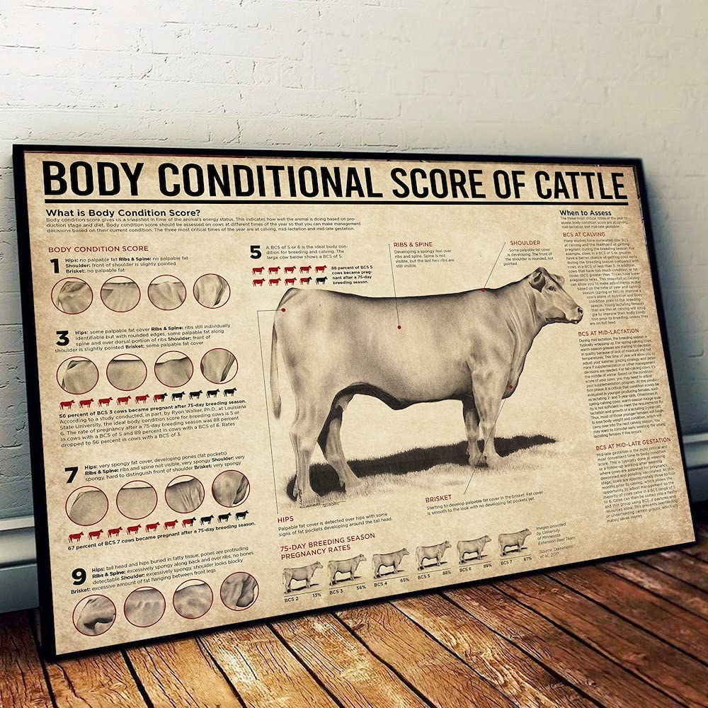 Buy MG global Cow Knowledge , Cow Knowledge PSD, Cow Knowledge PNG ...