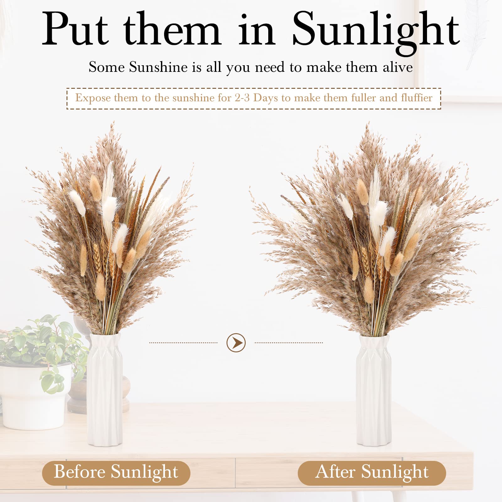 255 Pcs Natural Dried Pampas Grass 17 Inch Pompous Grass Long-Lasting ...